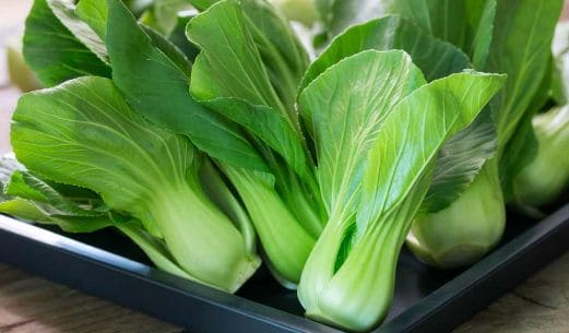 Pakcoy, Si Hijau yang Kaya Manfaat Bagi Kesehatan - Dietplus.id