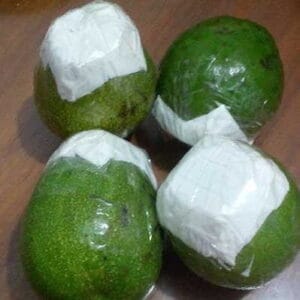 Alpukat Miki: Buah Lezat dengan Ciri Khas Unik - Dietplus.id
